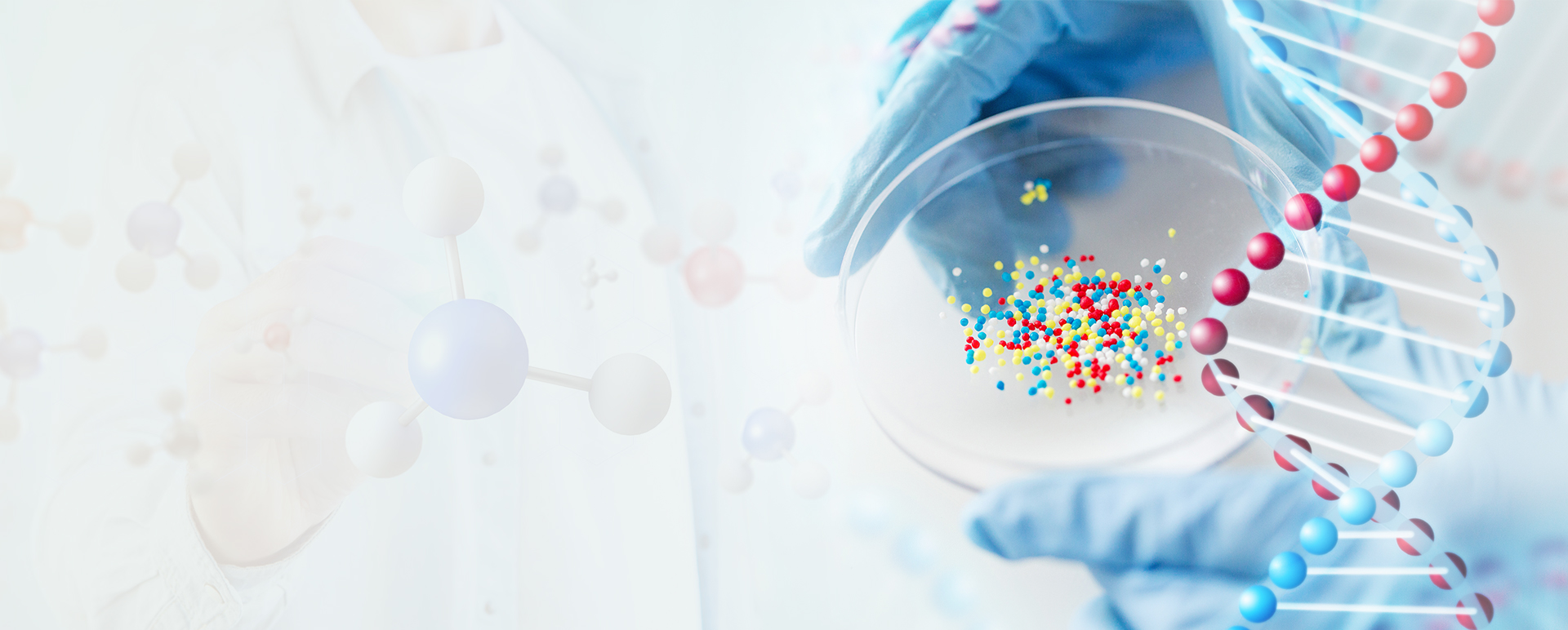 Integrated Drug Discovery And Preclinical CRO | Syngene CRO
