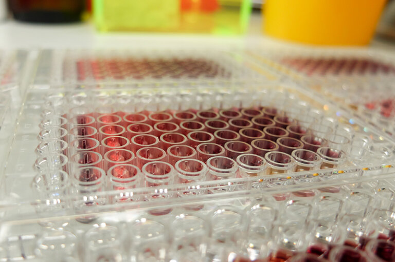 Leveraging High Throughput Screening services to accelerate drug ...