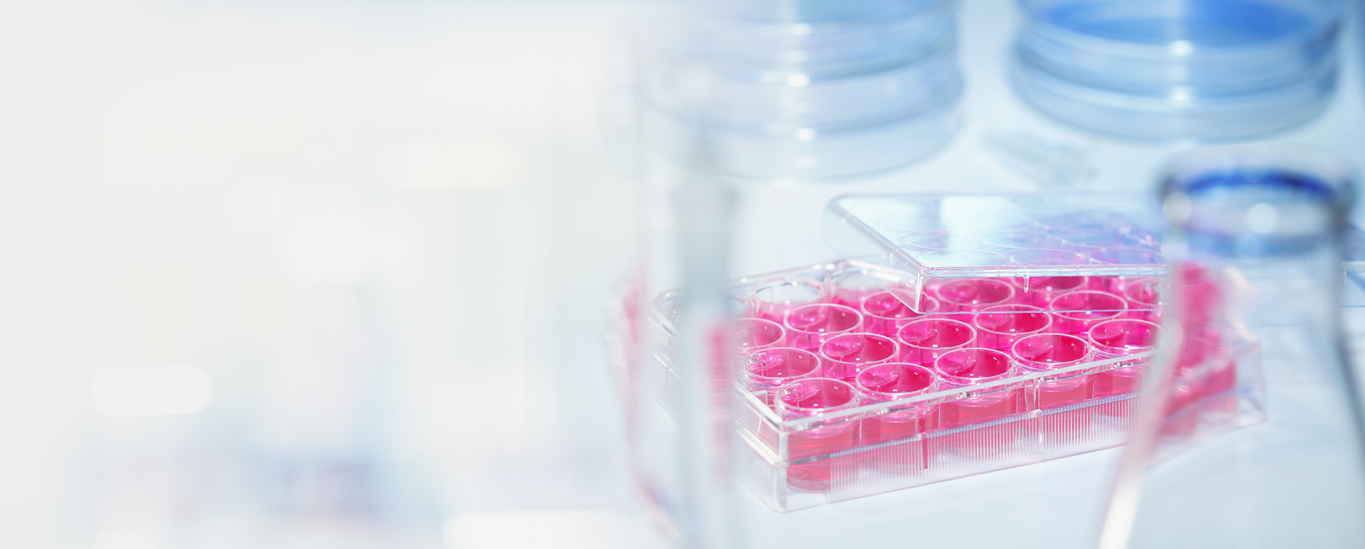 How Syngene’s safety tox package helped Cytopeutics to advance its cell ...