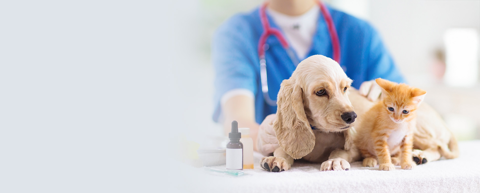 Multi-Drug Combo Development for Companion Animals | Syngene International