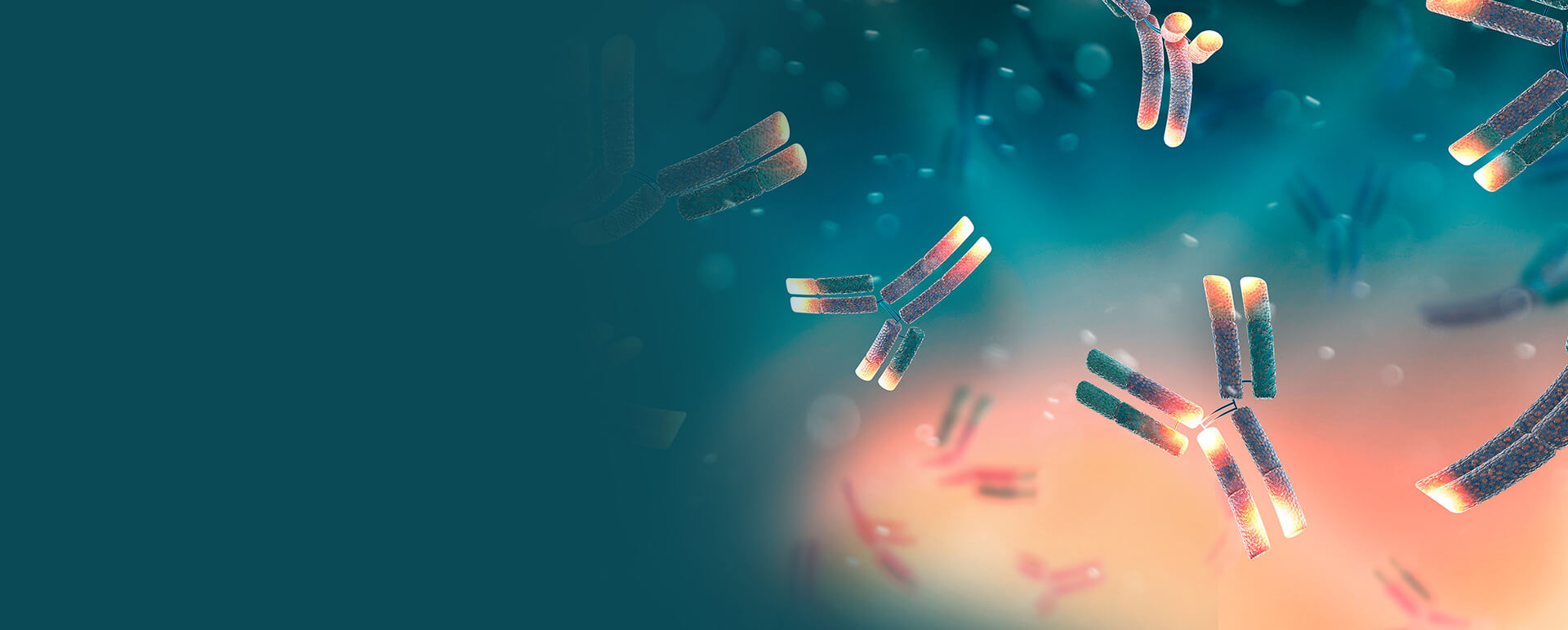Developing a unique hybridoma platform for manufacturing mAb cocktail ...