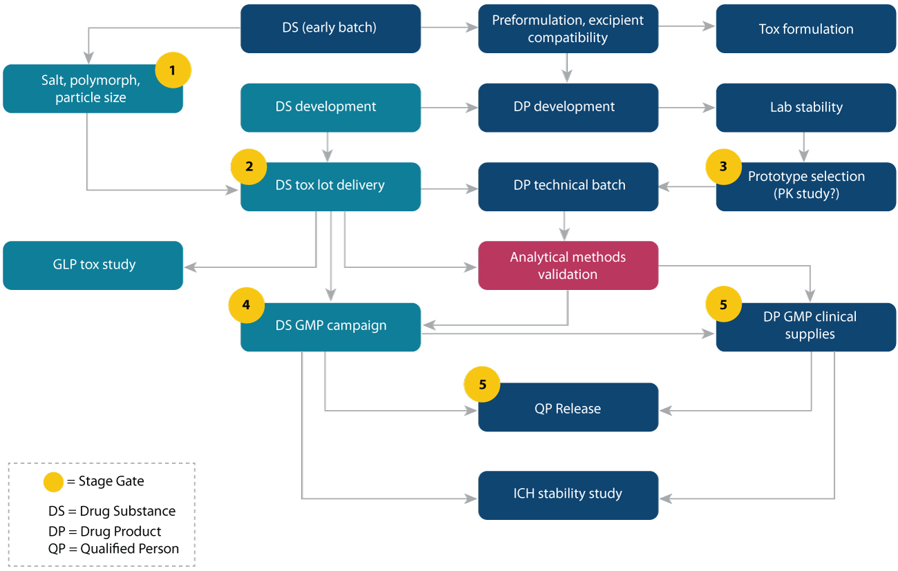 Regulatory role of Biophysics in Biologics CMC | Syngene International