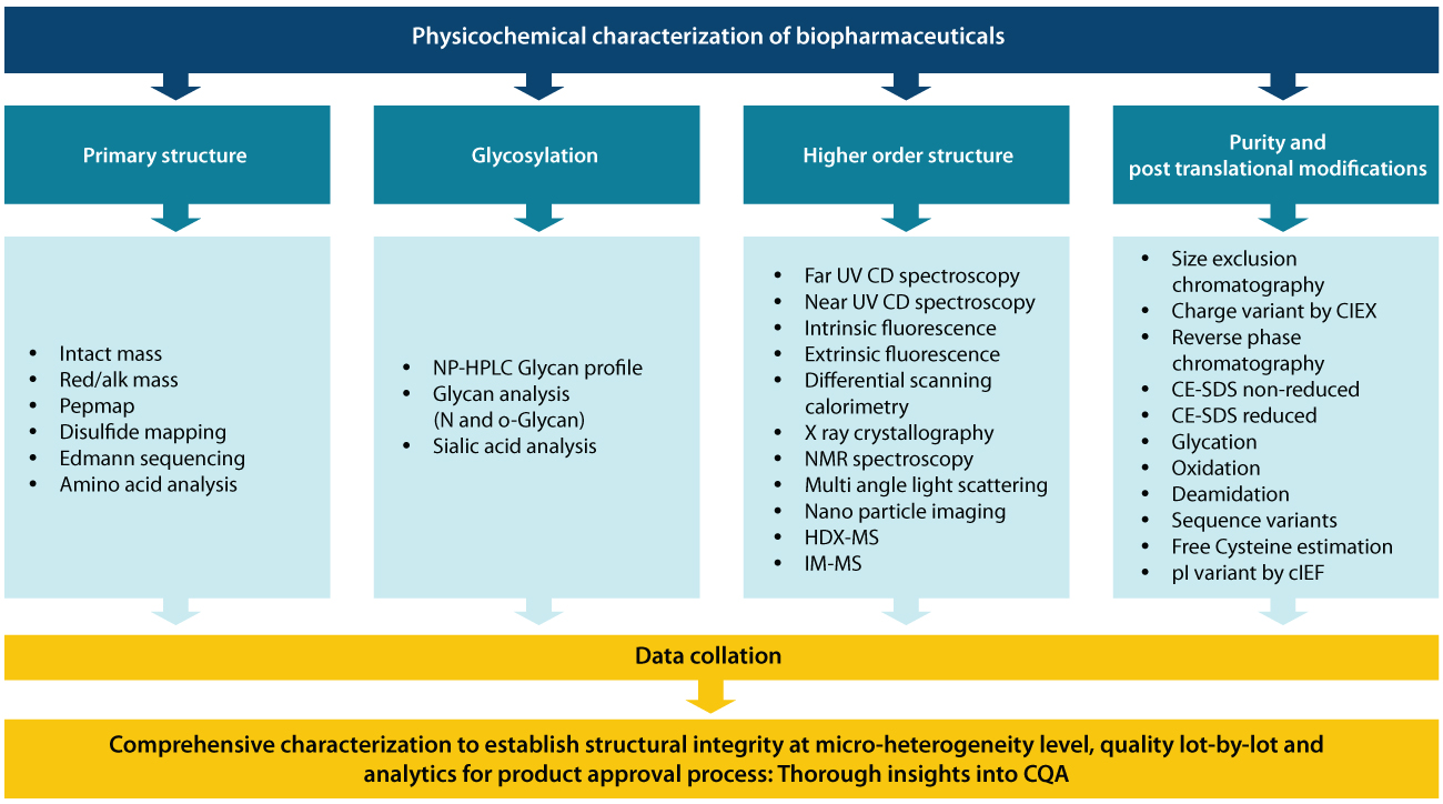 Regulatory role of Biophysics in Biologics CMC | Syngene International