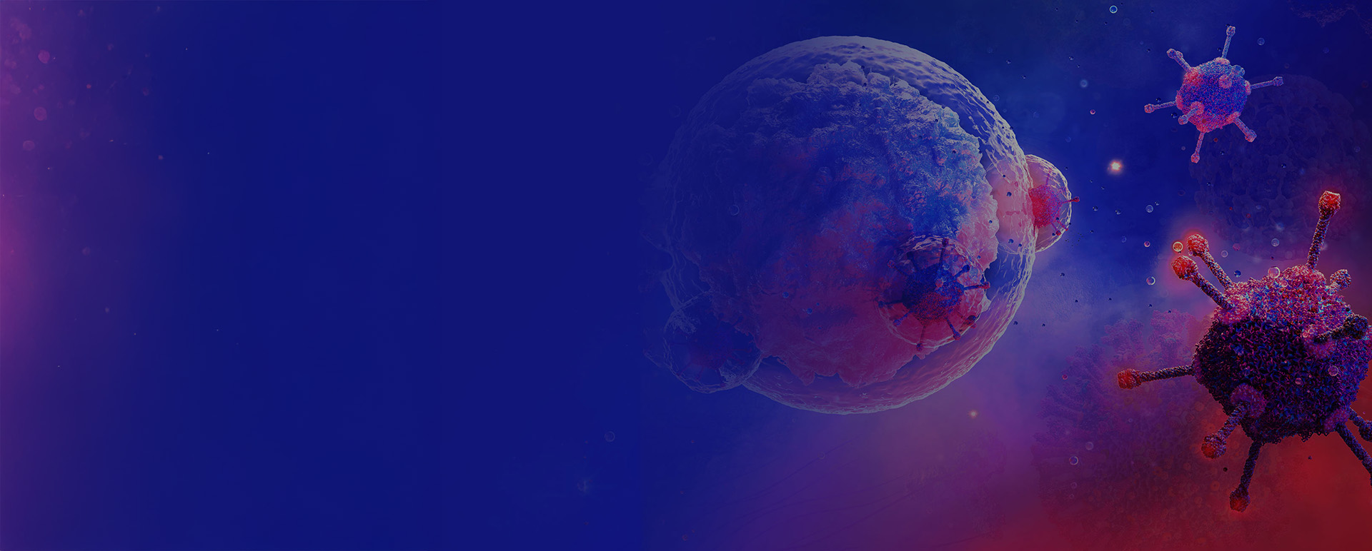 Cancer Cell Therapy | CAR-T Discovery & Development