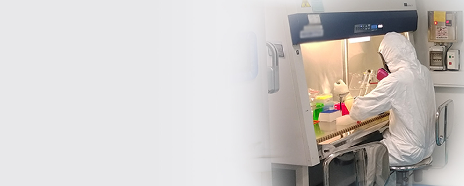 Proactive COVID-19 Testing | Syngene International