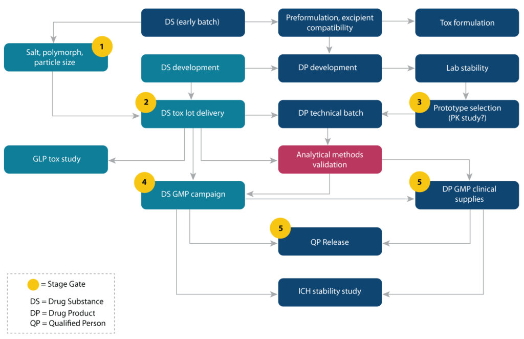 Integrated CMC Strategy for Faster Small Molecule Development | Syngene ...