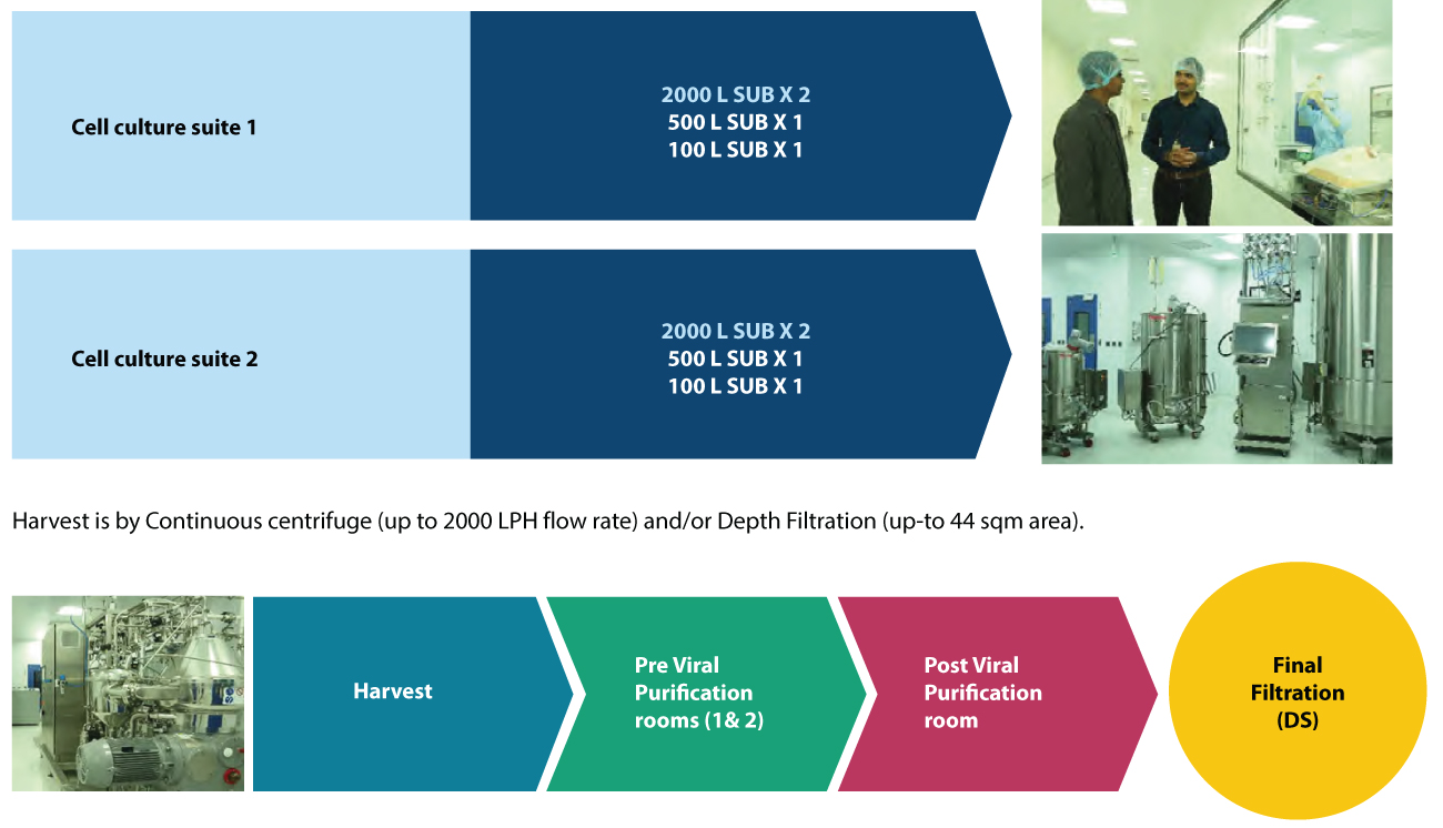 Manufacturing COVID-19 Vaccines: Role of CROs & CDMOs | Syngene ...