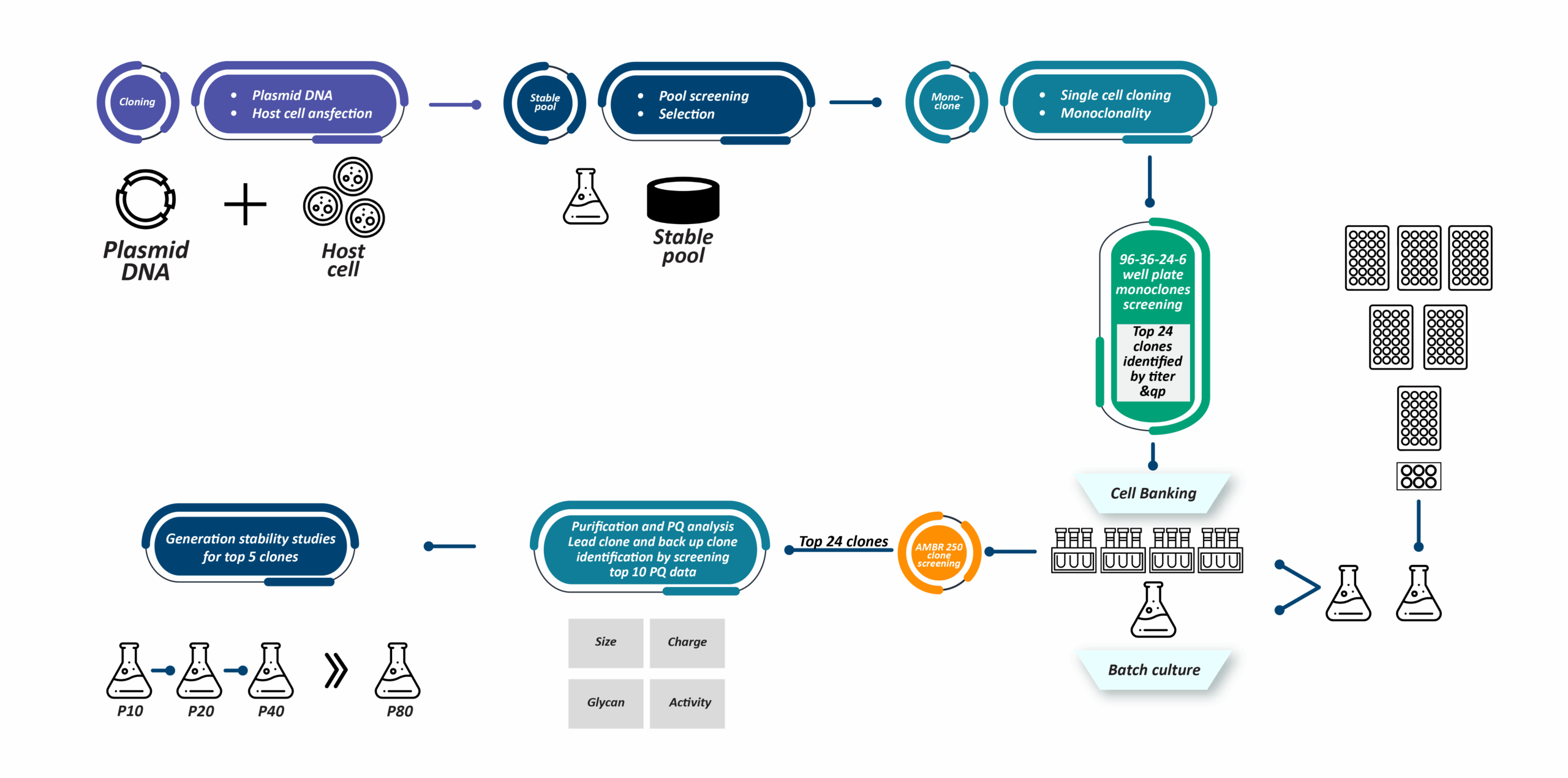 SynWeave™: Revolutionizing Biopharma Manufacturing by Improving Titer ...