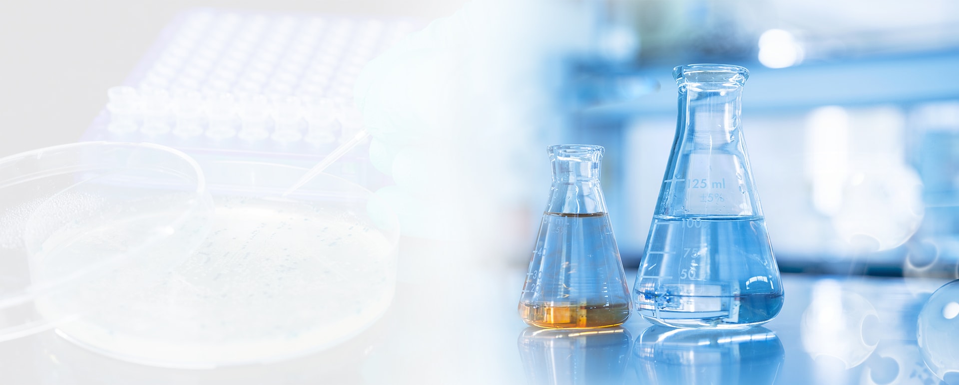 Chemical Process Design, Development, and Optimization | Syngene