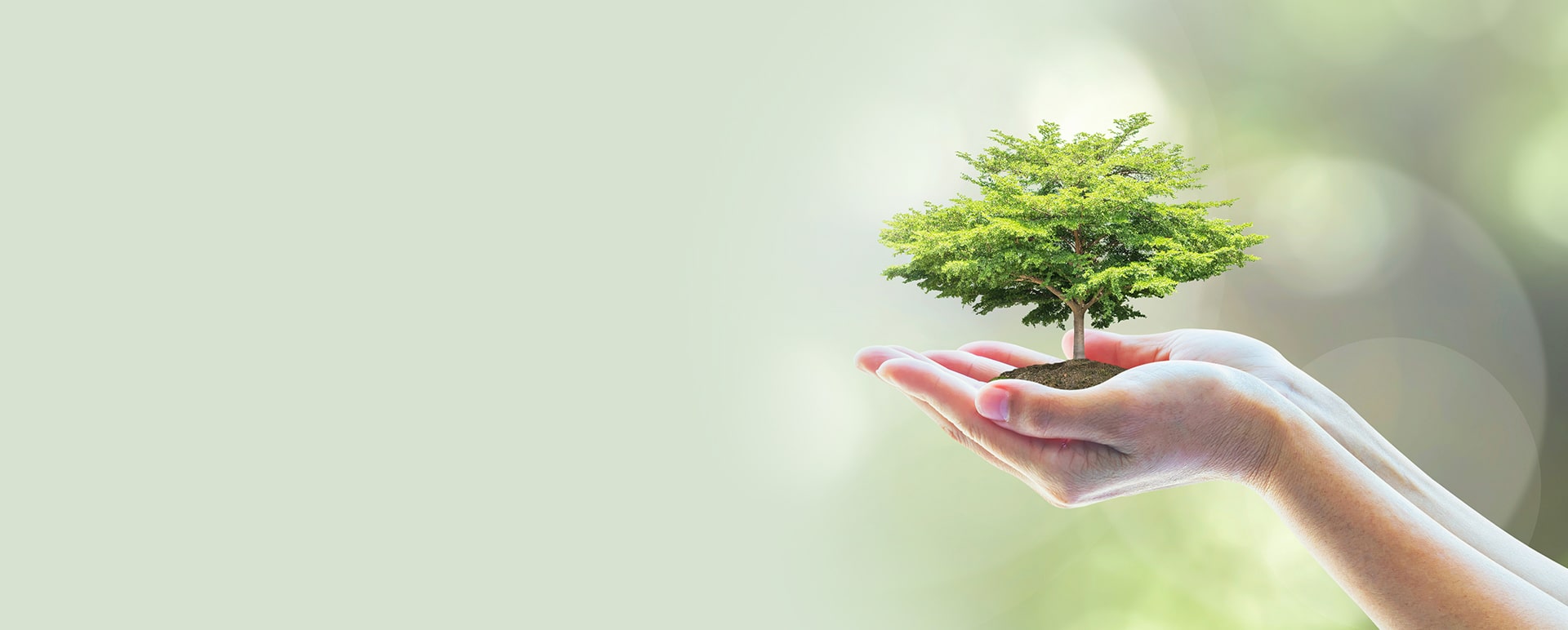 Our Approach To Environment Health Safety And Sustainability