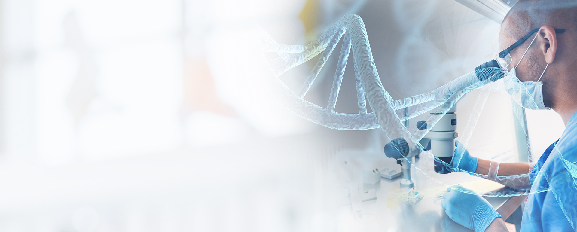 Development - Syngene International Ltd