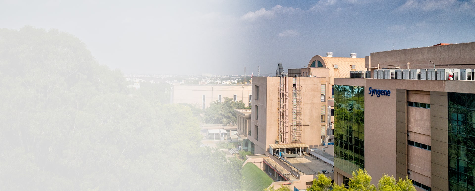 About Us | Contract Research & Development Organization (CRDMO ...